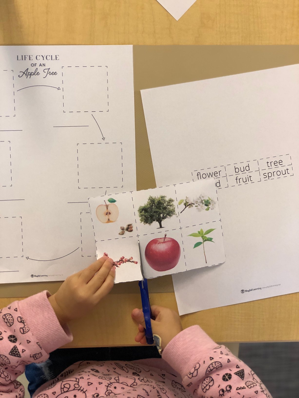 The Science of Things Around Us